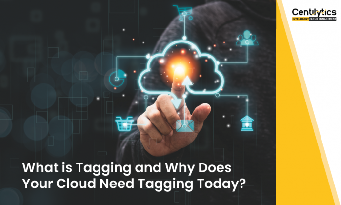 What is Tagging and Why Does Your Cloud Need Tagging Today? | Blogs ...